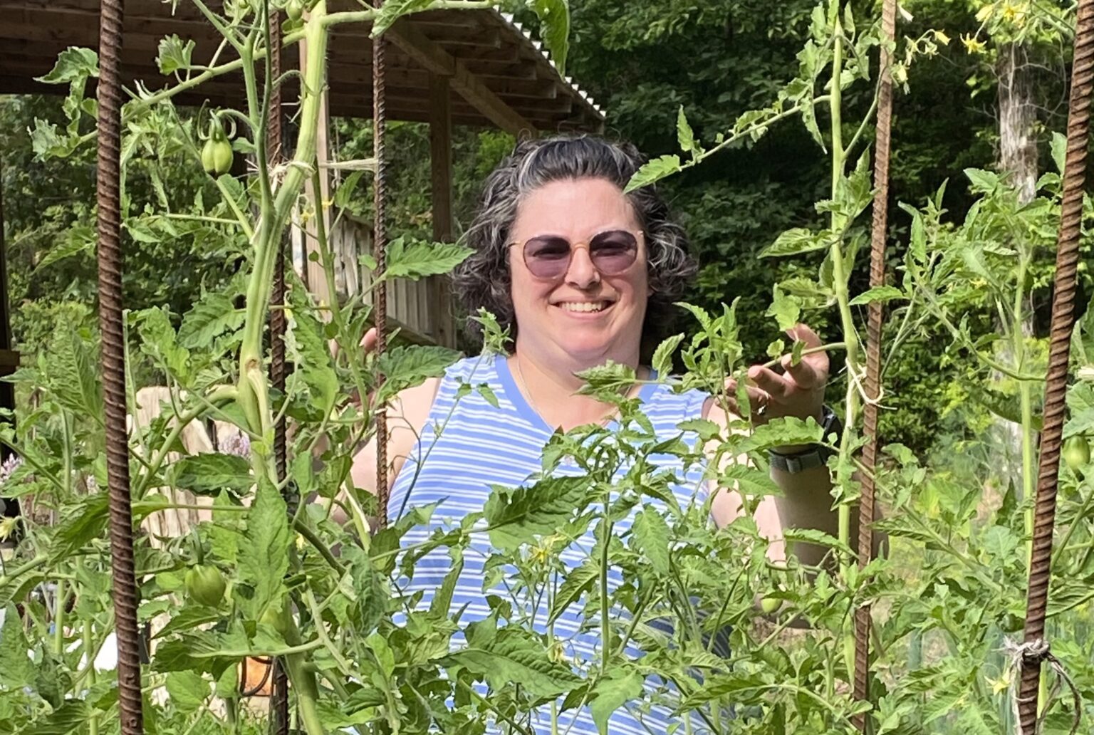 “Immerse Yourself In The Charming, Southern Homesteading Adventure ...