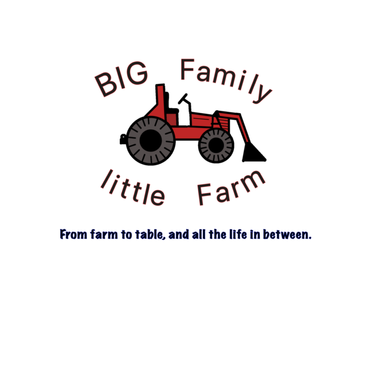 “Immerse Yourself In The Charming, Southern Homesteading Adventure ...